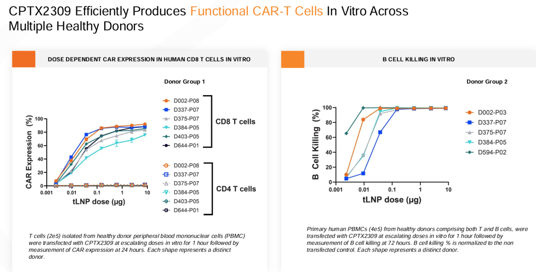 Capstan公布in vivo CAR-T疗法非人灵长类动物试验最新数据 - 星辉看世界 - Xinhui Times
