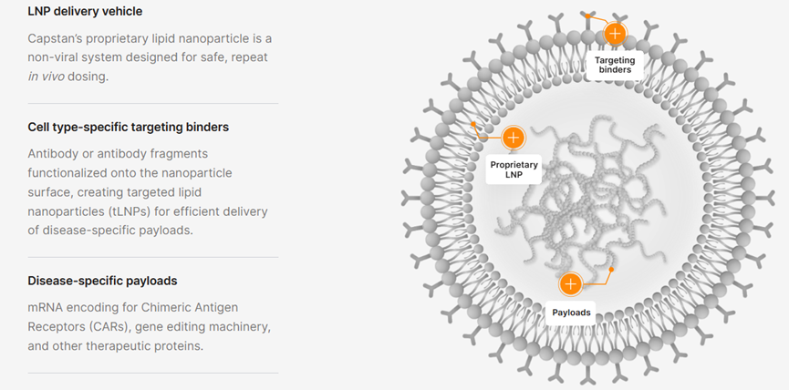 Capstan公布in vivo CAR-T疗法非人灵长类动物试验最新数据 - 星辉看世界 - Xinhui Times
